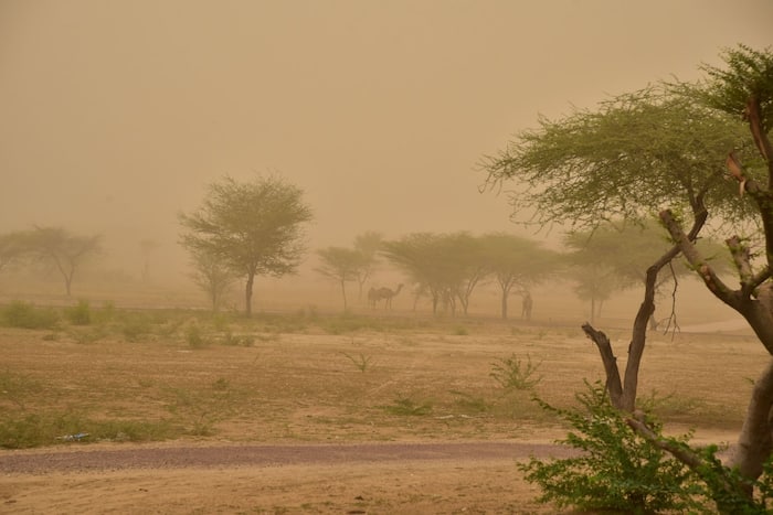 Massive Dust Storm Heads Towards Gujarat, Rajasthan: IMD Issues Alert ...