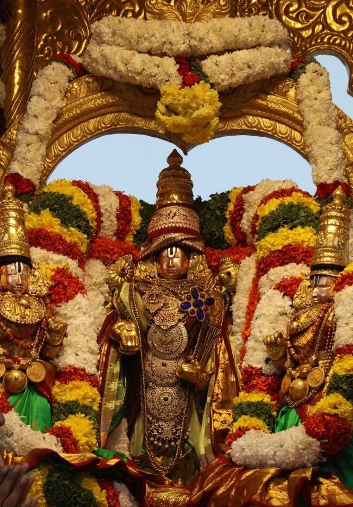 Golden Chariot Procession Held At Tirumala As Part Of Vaikuntha Ekadasi ...