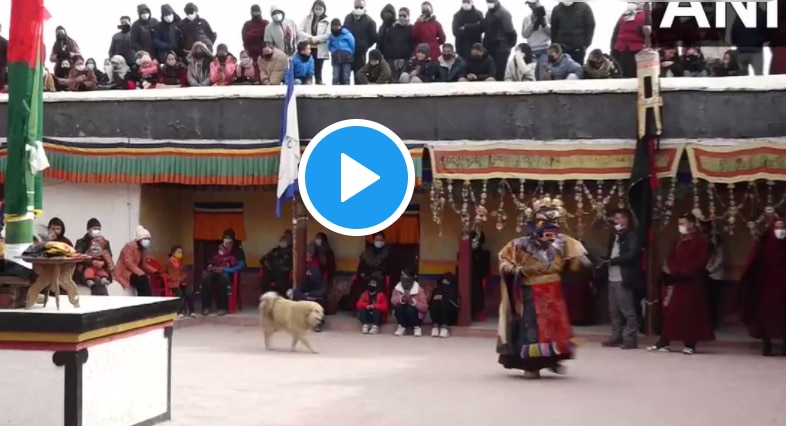 Annual Spituk Gustor Festival 2022 Begins In Ladakh, People Throng to ...