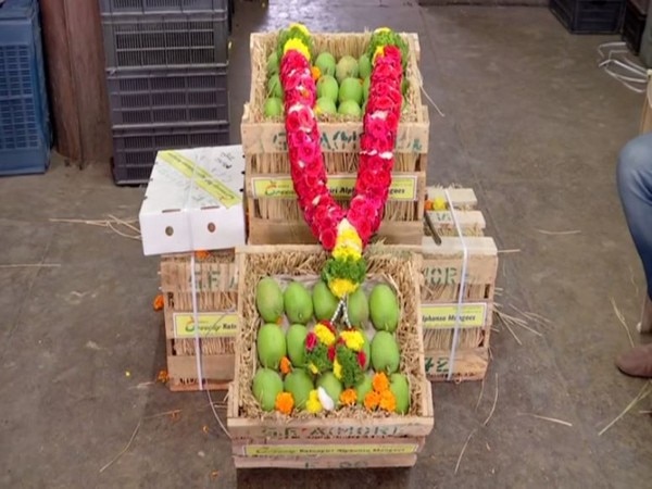 In Pune, Mango Crate Sold For Whopping Rs 31,000 In Auction. Here