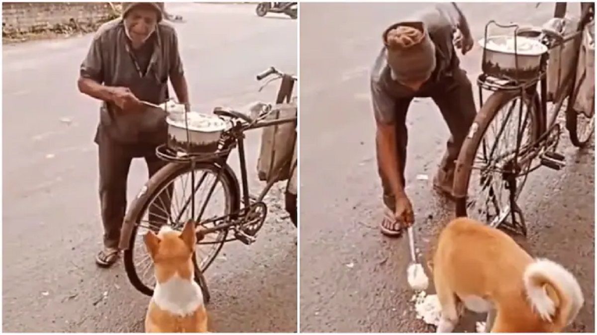 Viral Video: Poor Man Feeds Rice to Stray Dog, Makes Netizens Emotional ...