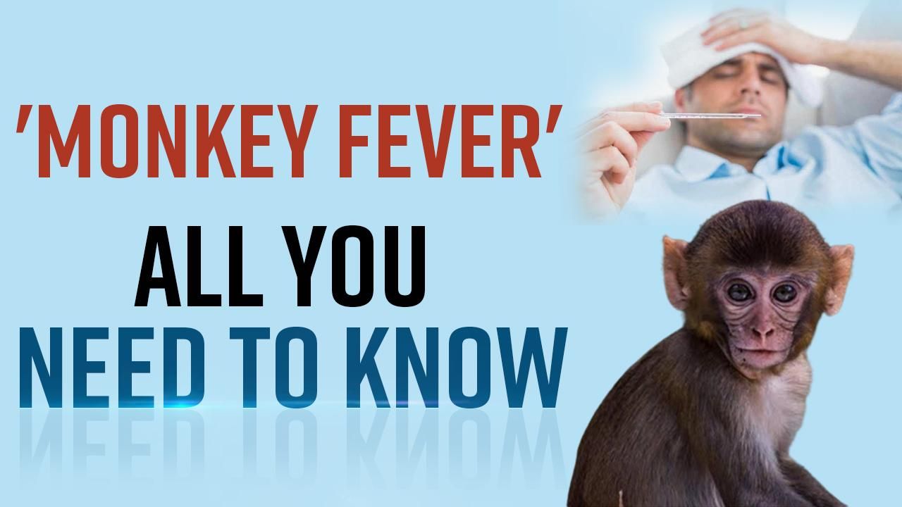 Alert: Kerala Wayanad Detects First Case Of Monkey Fever, Symptoms And ...