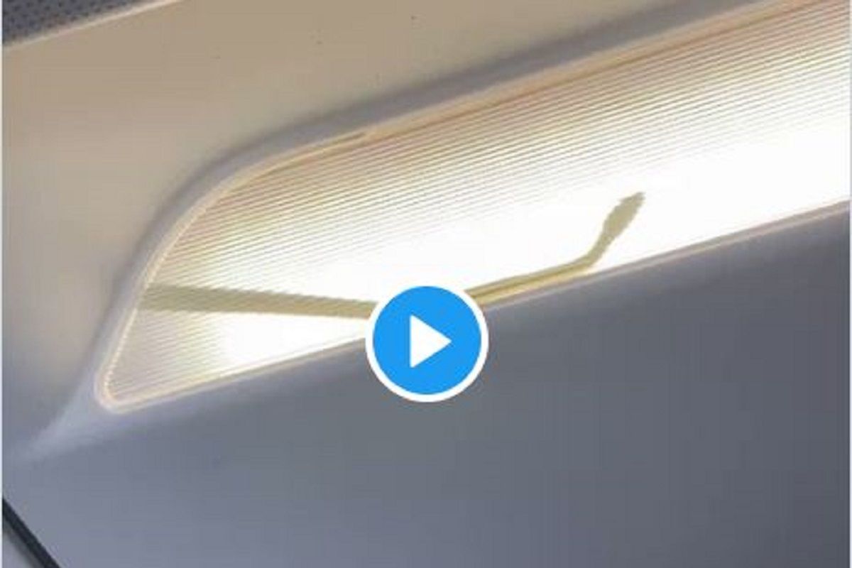 Viral Video: Snake Found Inside Plane Mid-Air, Pilot Shares Clip. Watch
