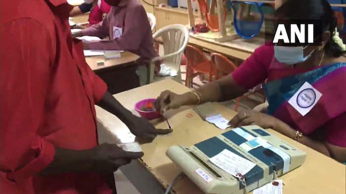 Tamil Nadu Urban Local Body Election LIVE Updates: Polling Underway ...
