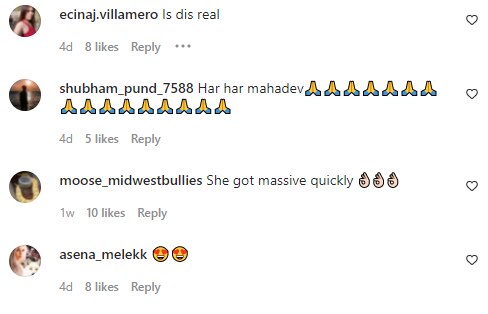 Viral Video: Little Girl Plays With Gigantic Python, Chilling Video ...