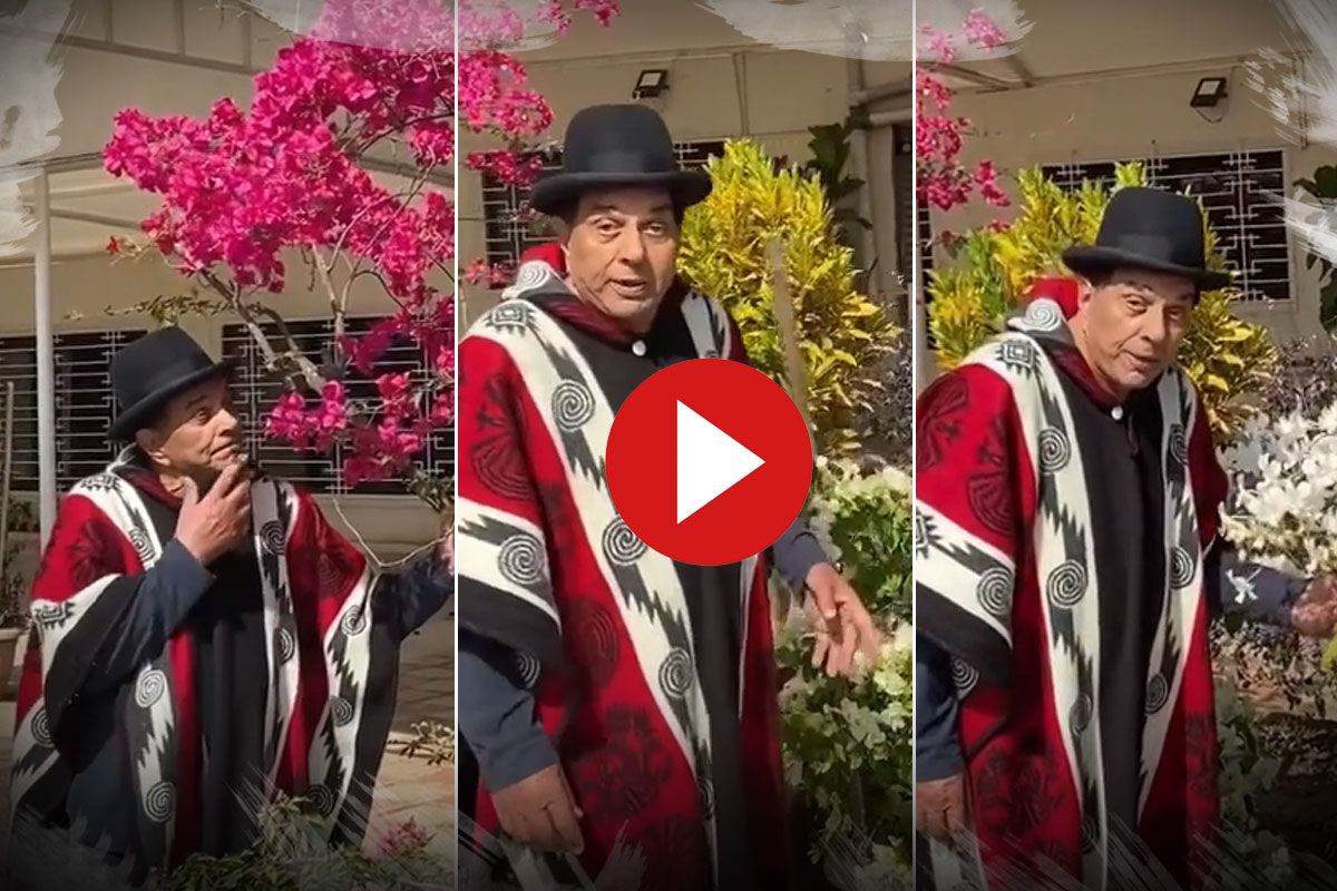 Dharmendra Farm House Video: फार्म हाउस में रंग-बिरंगे फूलों को देख ...