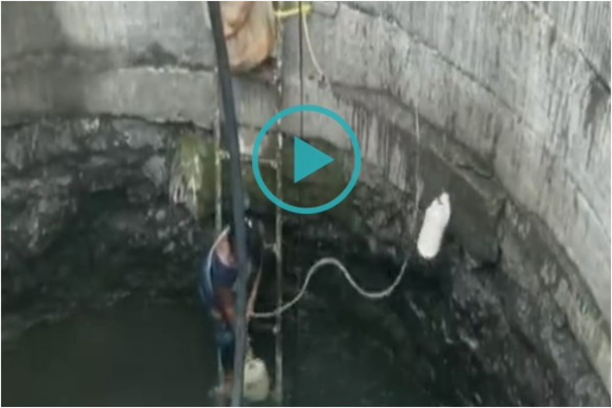 Maharashtra Women Slide Down Into Well, Pull Out Buckets Of Water Amid ...