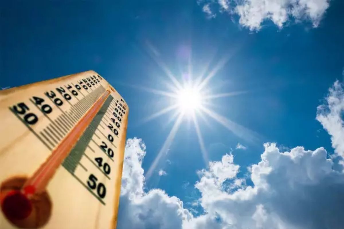 Delhi Weather: At 33.6 Degrees, City Witnesses Third Highest February ...