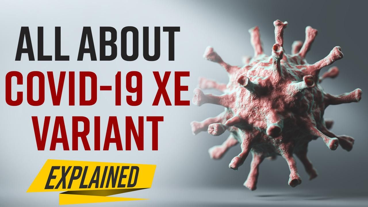 Explained: What Is XE Variant Of Coronavirus? Should India Worry ...