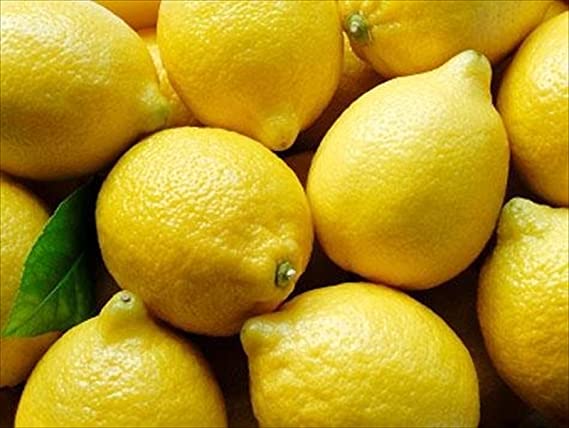 Lemon Price Hike Triggers Hilarious Memefest on Twitter. Here Are The ...
