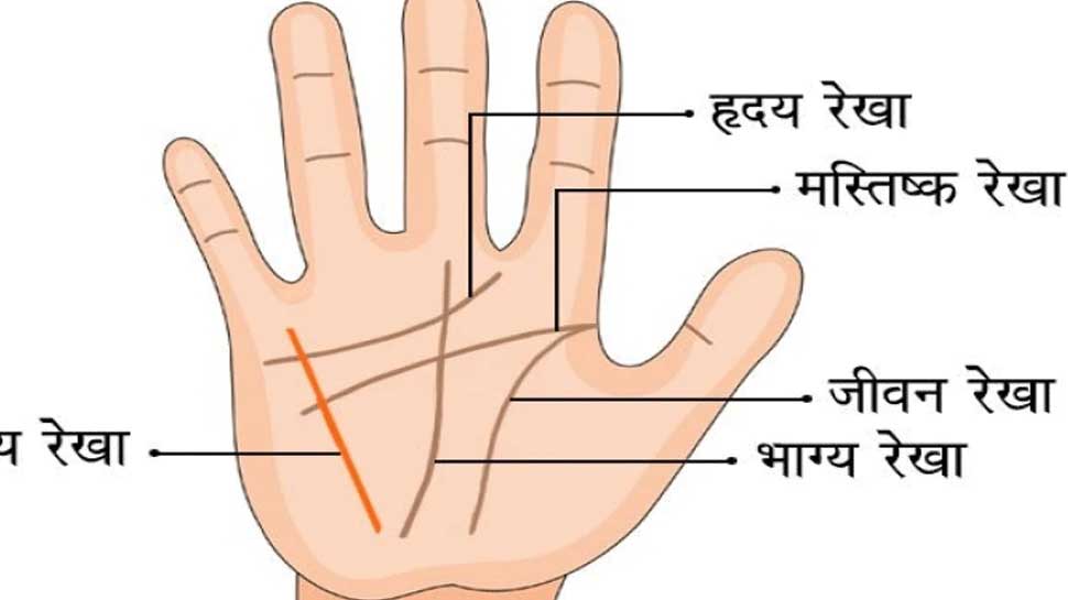 हाथ देखकर जानें, कैसे हैं धनसंपत्ति के योग