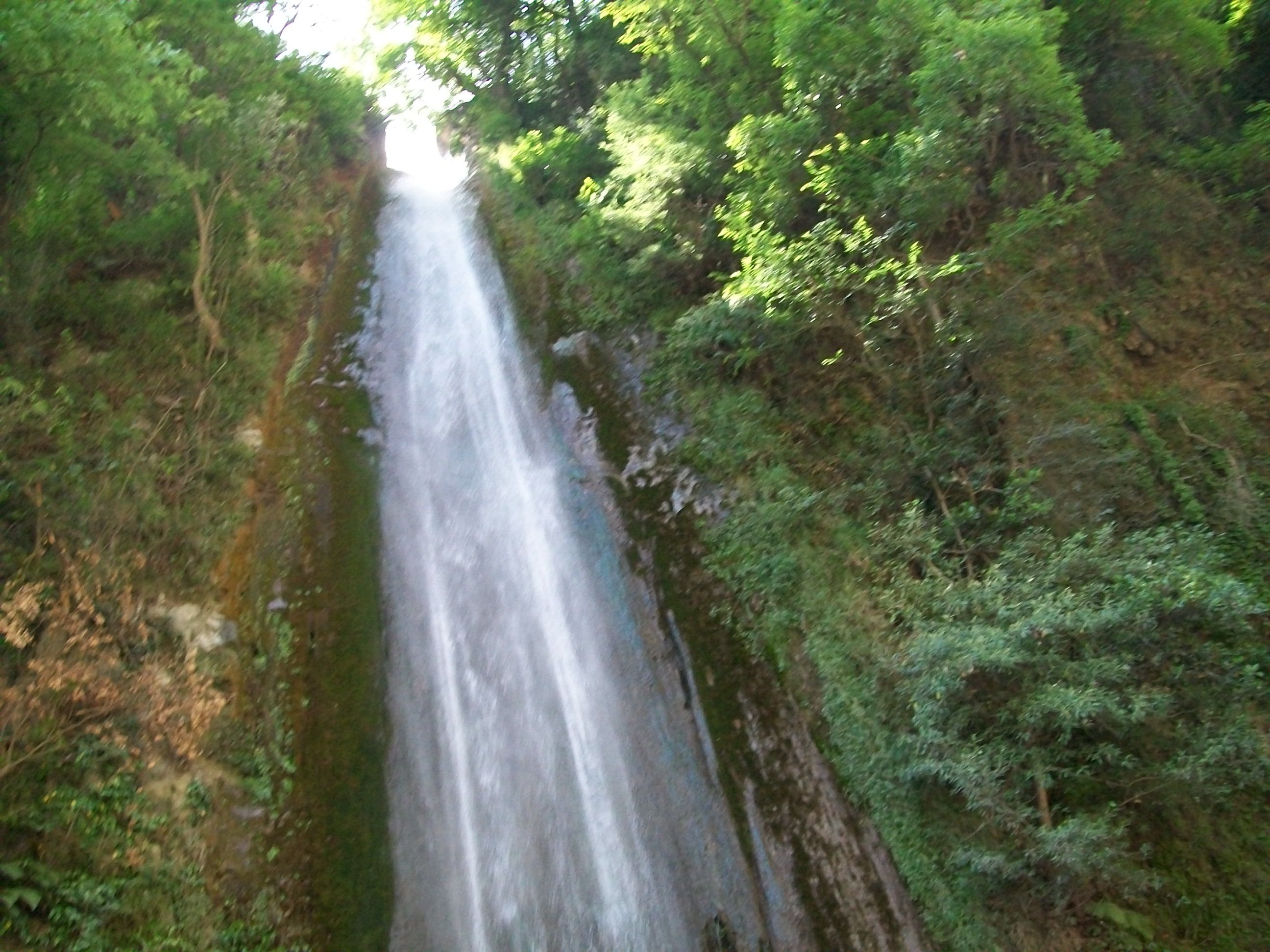 Tiger Fall: ये टाइगर जिंदा भी है और इन गर्मियों में यहां जाकर आप सुकून ...