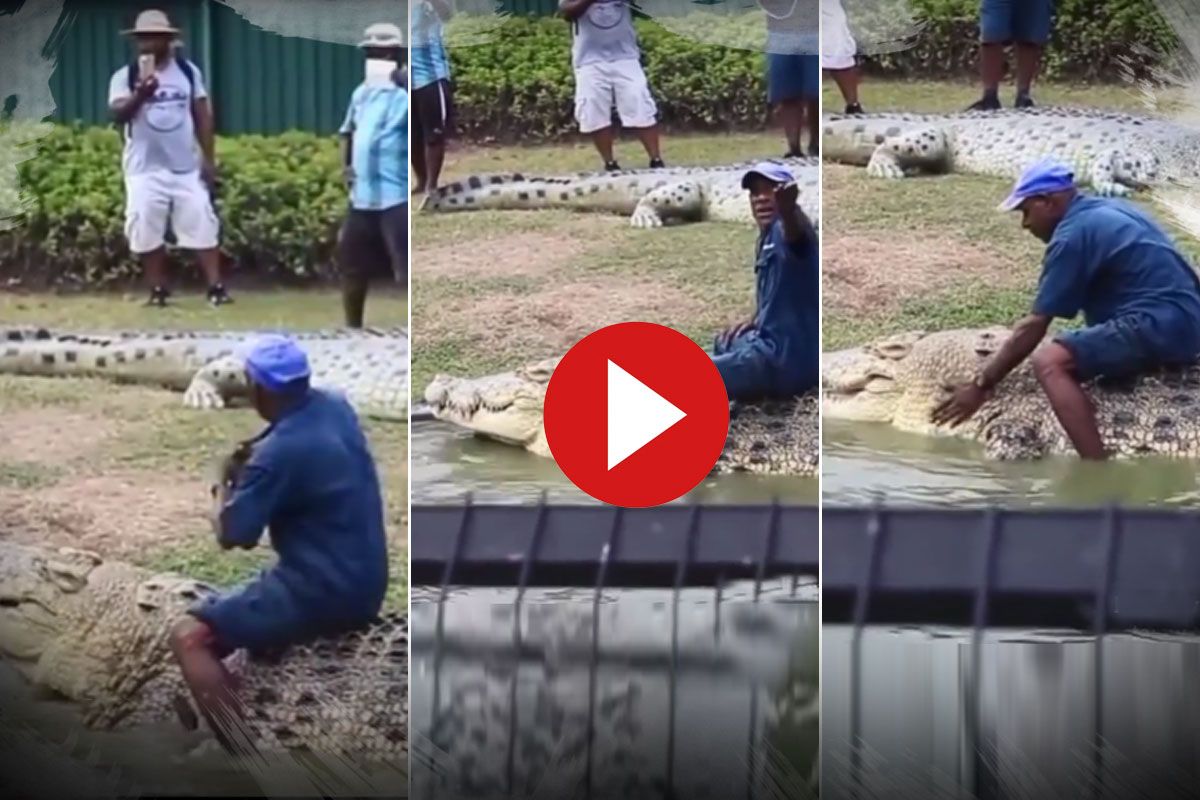 Magarmach Ka Video: स्टाइल मारने के चक्कर में मगरमच्छ पर सवार हो गया ...