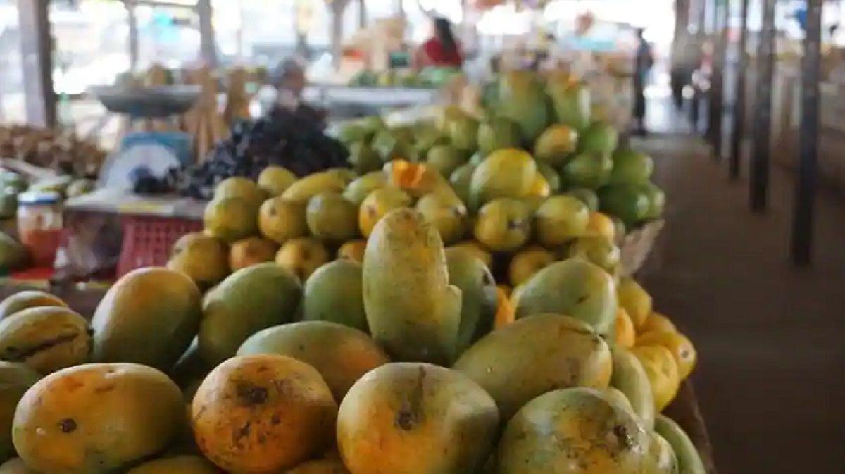 Mango Price Increase This Year know the Reason Behind It AAM