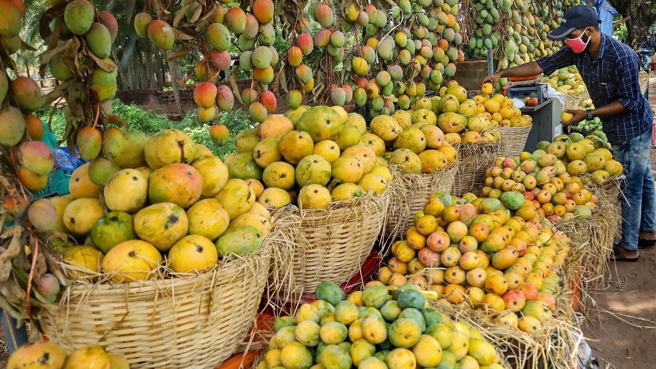 Mango Price Increase This Year know the Reason Behind It AAM