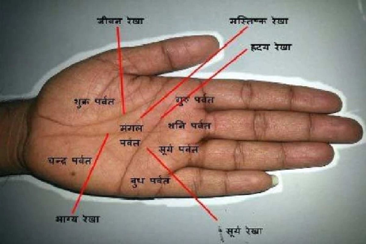 Palmistry : भाग्यवान लोकांच्या हातावर असते