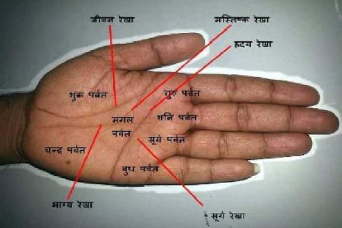 Palmistry : भाग्यवान लोकांच्या हातावर असते