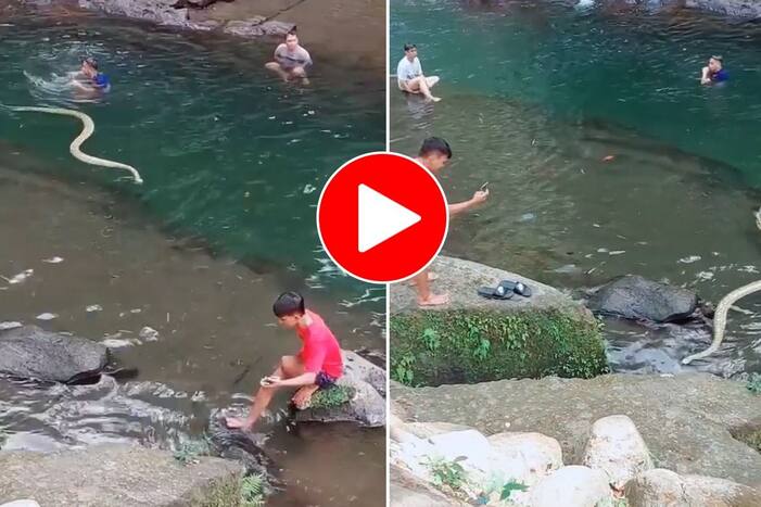 Viral Video: Giant Snake Seen Entering River As People Enjoy a Swim. Here