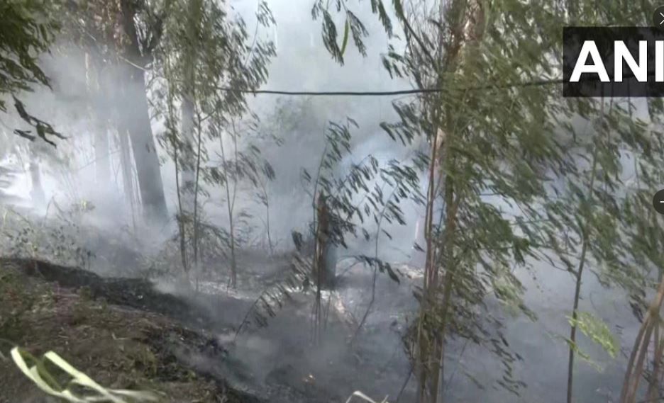 Fire Breaks Out in Forest Area Near Majnu Ka Tila in Delhi. See PHOTOS