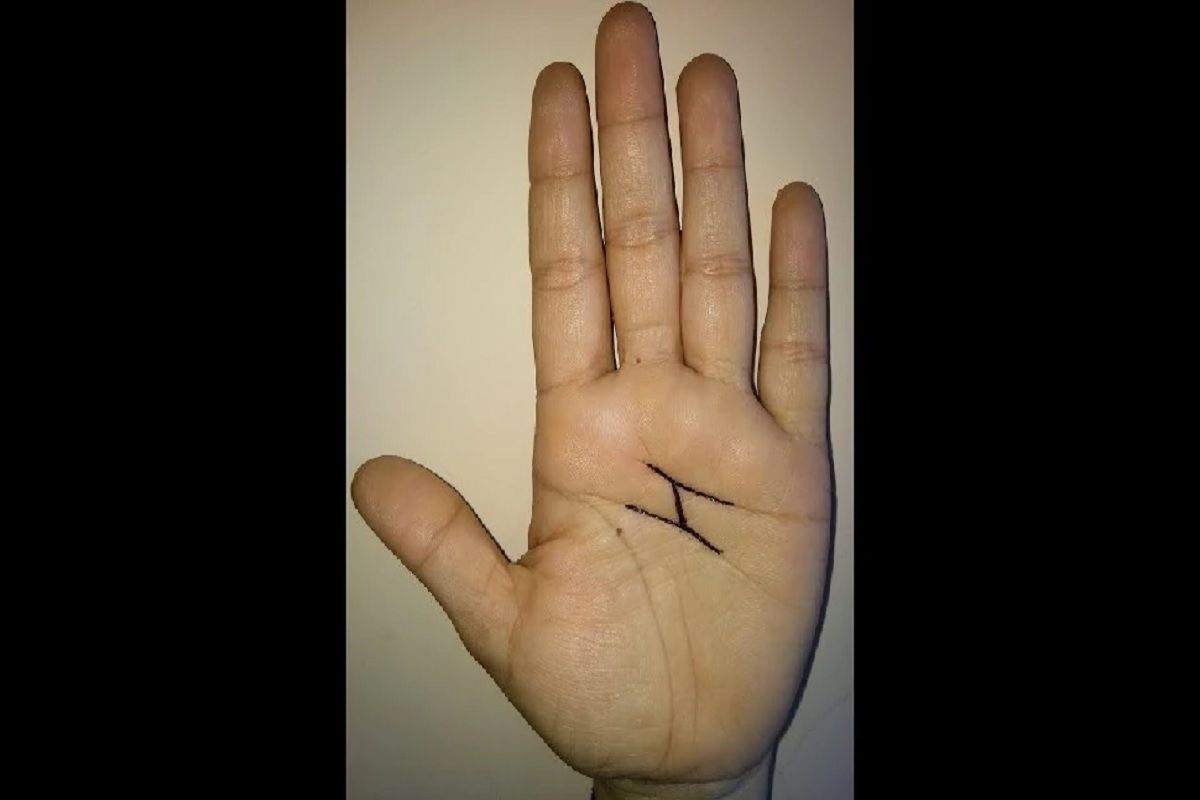 Palmistry : चाळीशीनंतर वेगाने प्रगती करतात 'हे' लोक! हातावरील विशिष्ट ...
