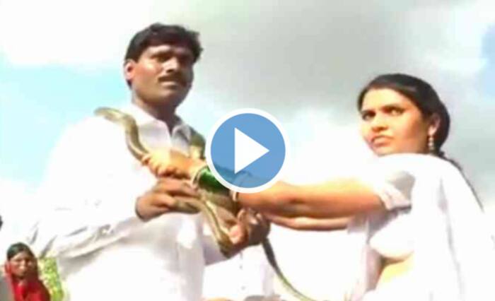 Viral Video: Bride & Groom Exchange Snake Garlands in Bizarre Wedding ...