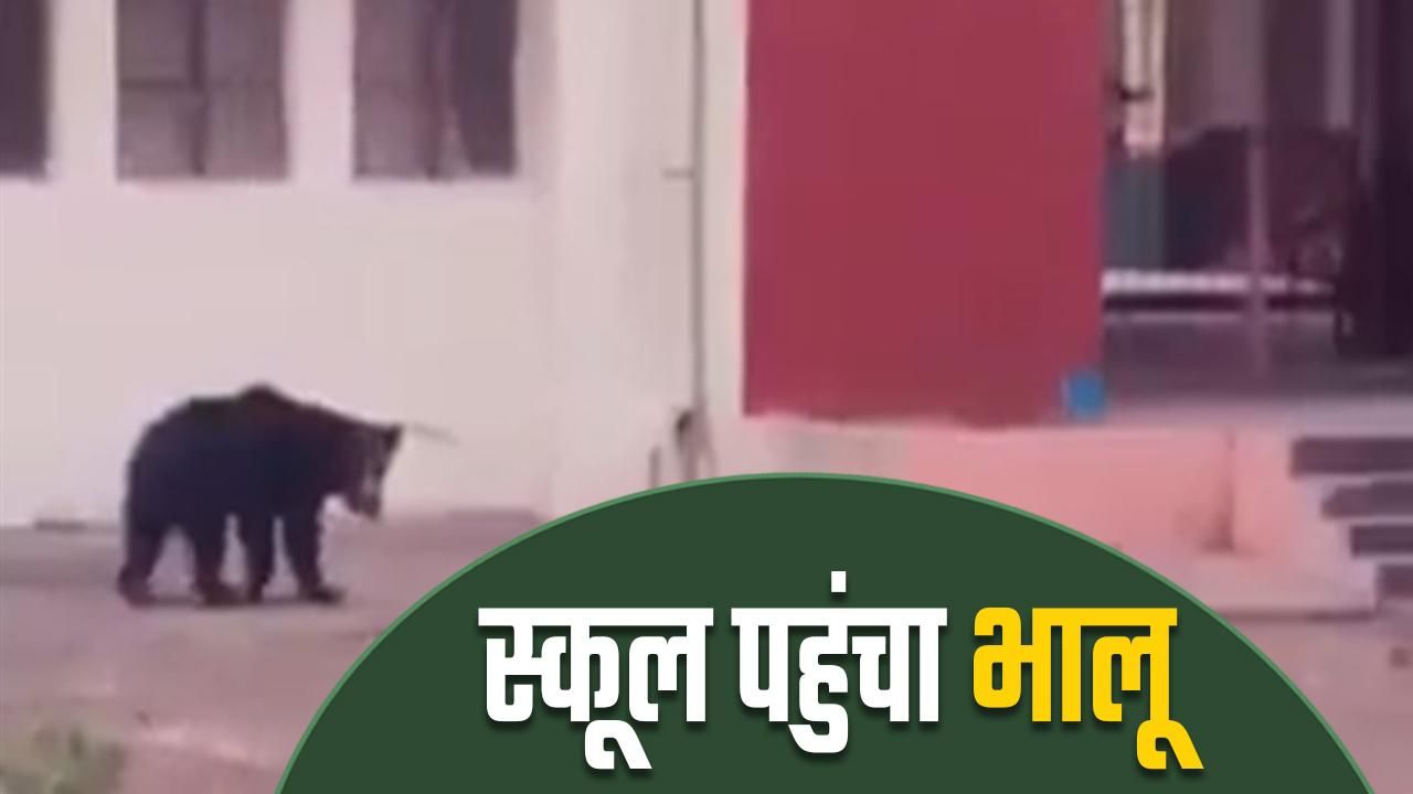 Bhalu Ka Viral Video: जब स्कूल पहुंचा भालू तो देखें क्या हुआ...| Watch ...