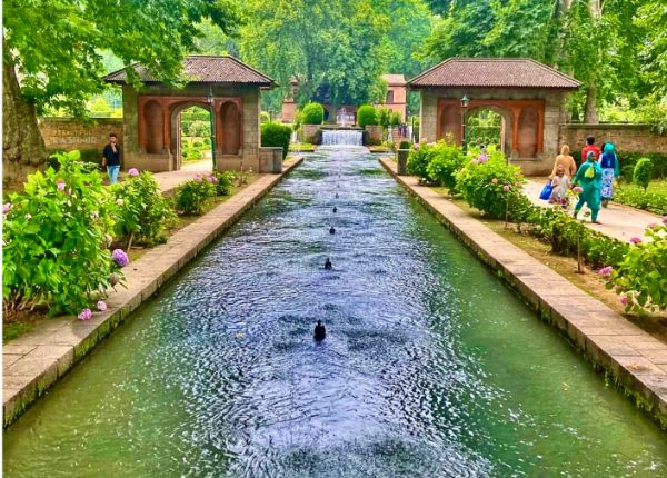 Nishat Garden in Kashmir is Called Garden of Bliss - Heres Why Nature ...