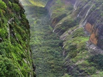 Andharban Trek in Maharashtra Offers Breathtaking Views of Dark Forest ...