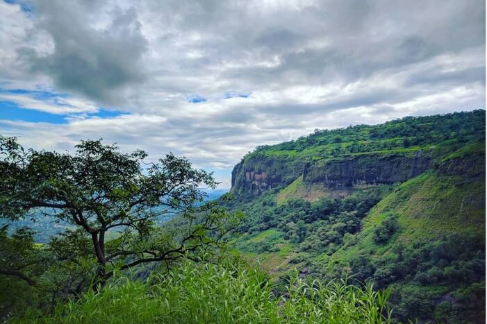 Andharban Trek in Maharashtra Offers Breathtaking Views of Dark Forest ...