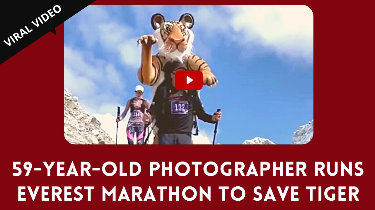 Funny Viral Video: UK Photographer Runs Everest Marathon in Tiger Suit ...