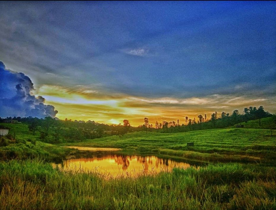 Ready To Make Tryst With Nature? 7 Destinations In North East To Visit ...