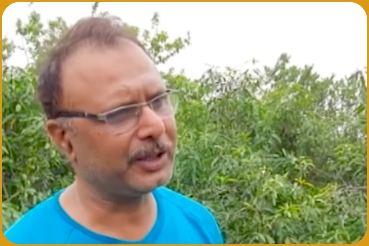 Taiyo No Tomago: दुनिया का सबसे महंगा आम, कीमत है ढाई लाख रुपये किलो ...