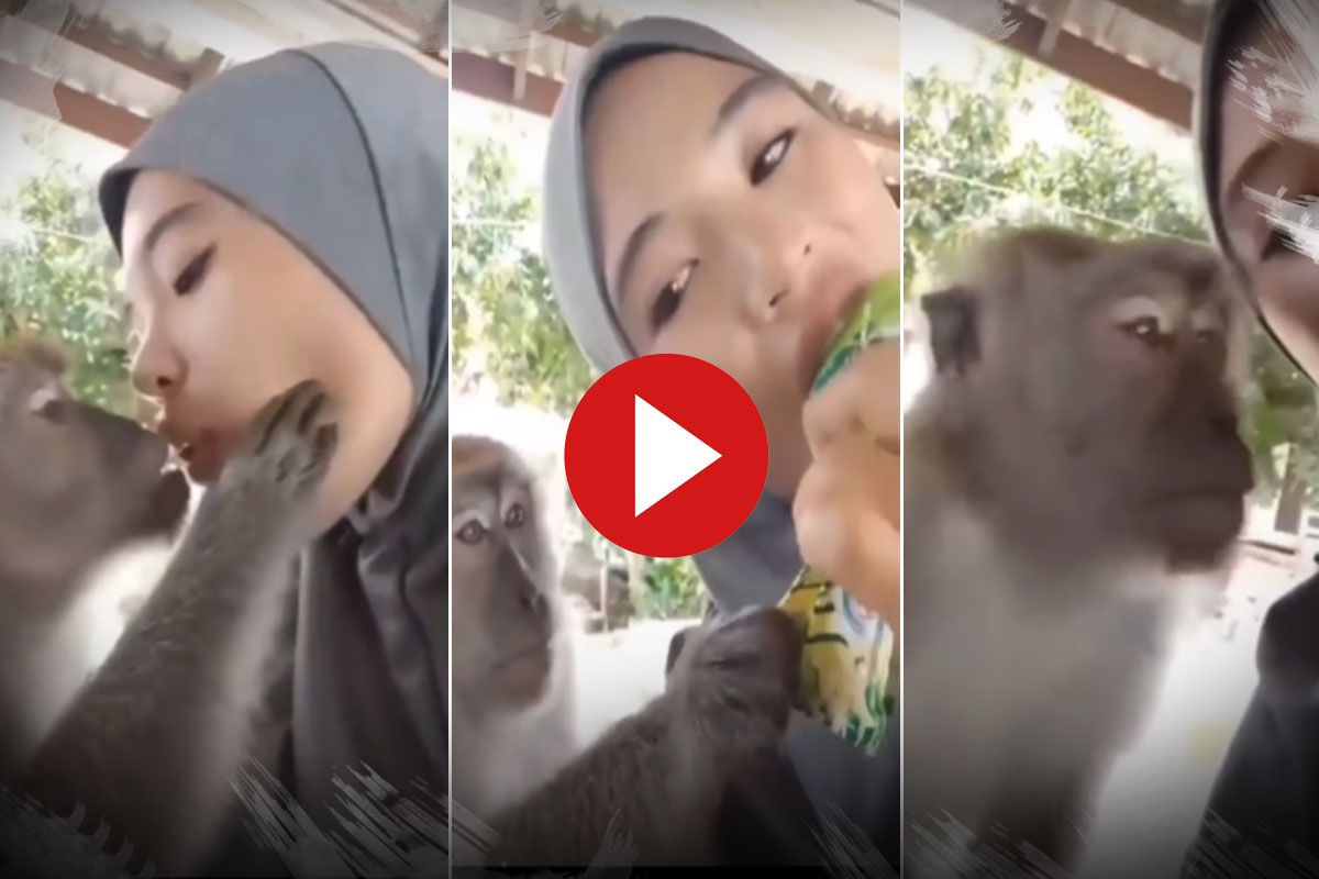 Bandar Ka Video: चुपके से आया और लड़की को किस करने लगा बंदर, उसके बाद ...