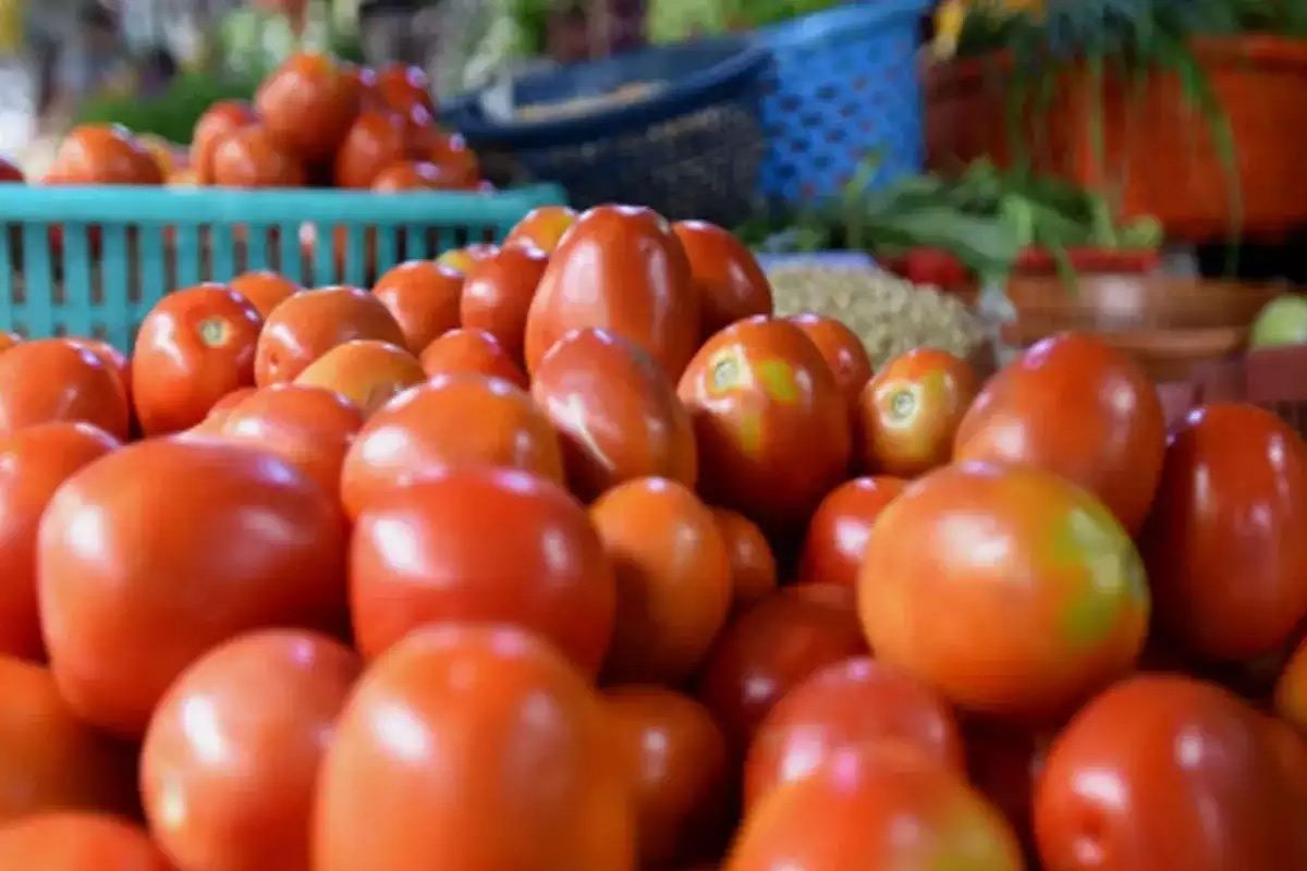 Tomatoes Go Off The Menu For Many In Bengaluru As Price Touches Rs 100 Per KG