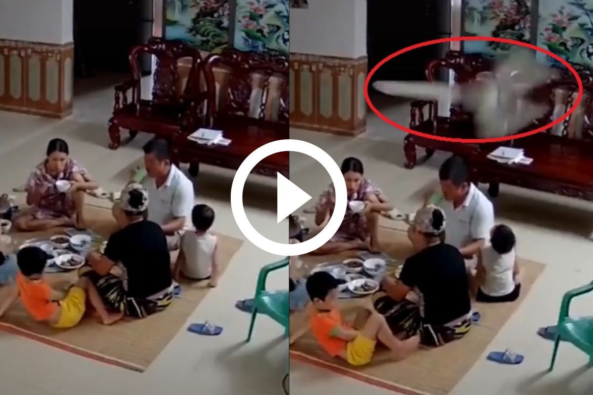 Viral Video: Shocking Moment Fan Falls On Family Caught on Camera ...