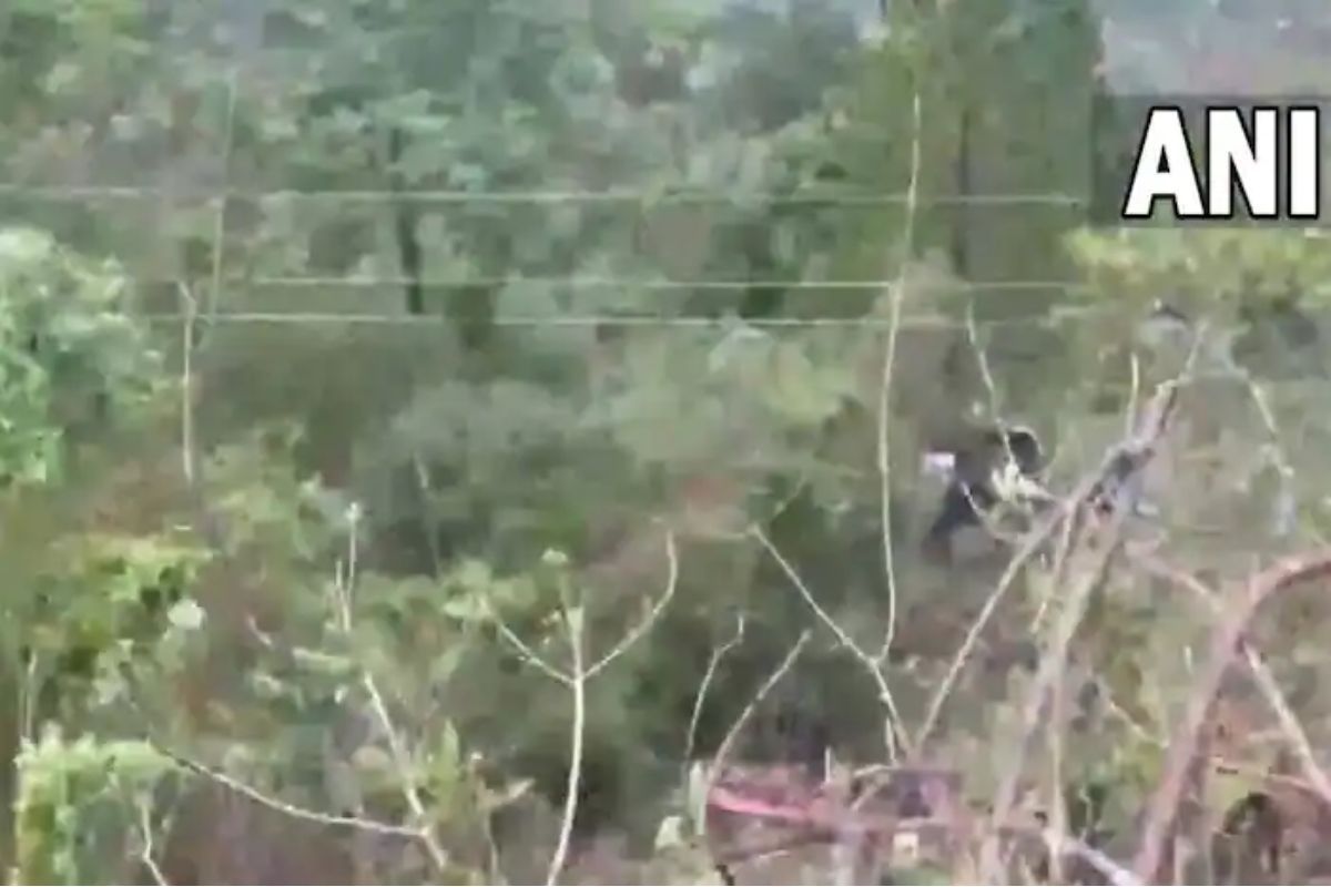 Uttarakhand Accident: उत्तराखंडमध्ये भीषण अपघात, प्रवाशांची बस दरीत ...