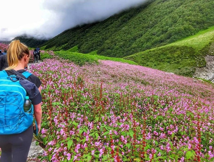 Rhododendrons and Snow Leopards Check Out These 5 Unexplored National ...