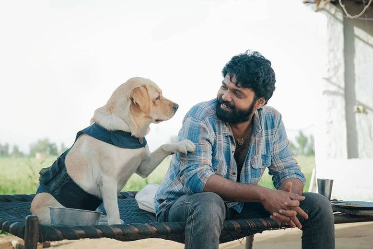777 Charlie Actor Rakshit Shetty Looks Upto Aamir Khan I Relate And ...