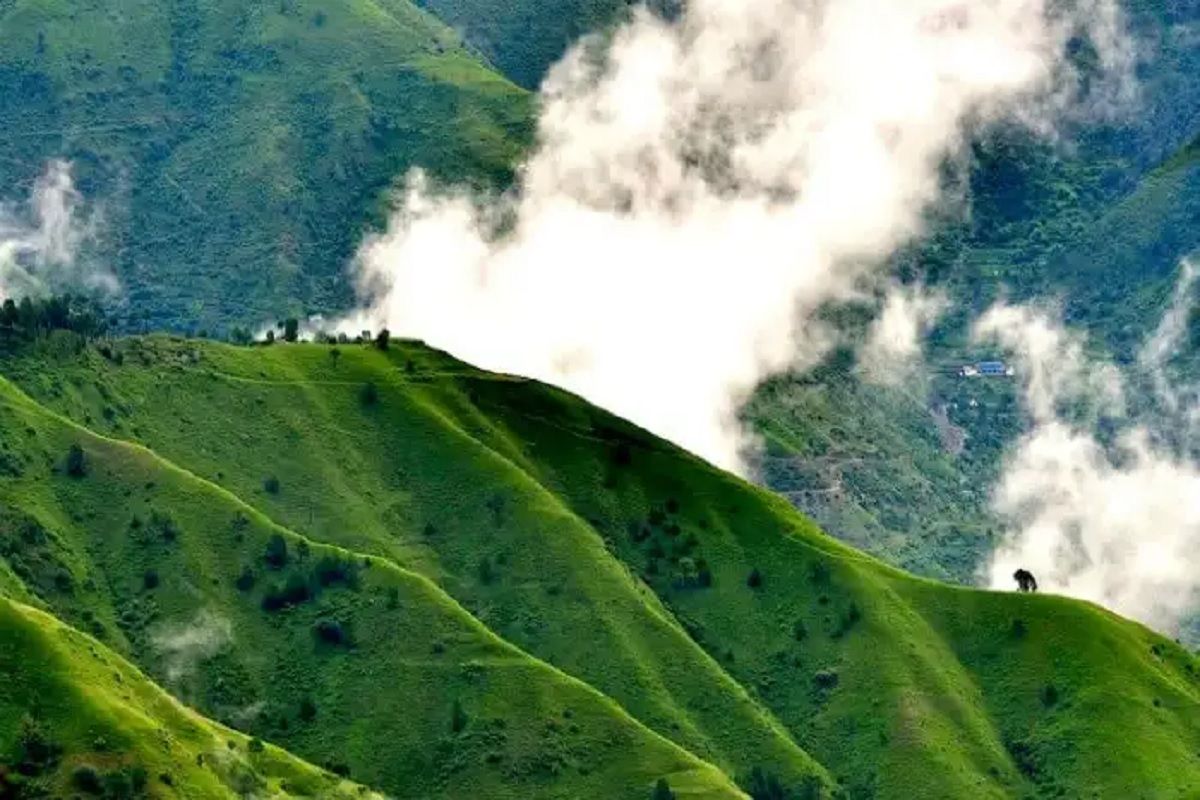 पटियाला के राजा ने खोजा था यह खूबसूरत हिल स्टेशन, समुद्र तल से 2250 ...
