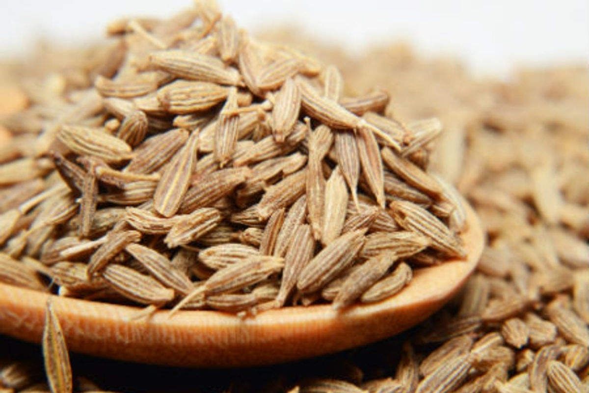 आम सवाल: कैसी होती है 'जीरा' की तासीर? ये लोग भूलकर भी ना करें जीरे का सेवन