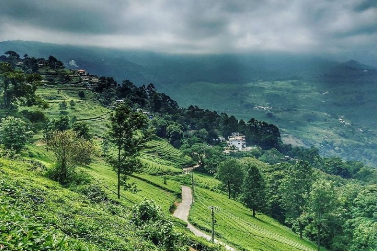 Chai Pe Charcha On Top Of The World: A Trip To Kolukkumalai - The ...