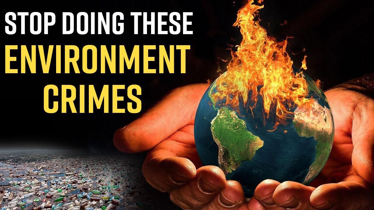 Top 5 Environmental Crimes That You Should Pledge to Not Commit This ...