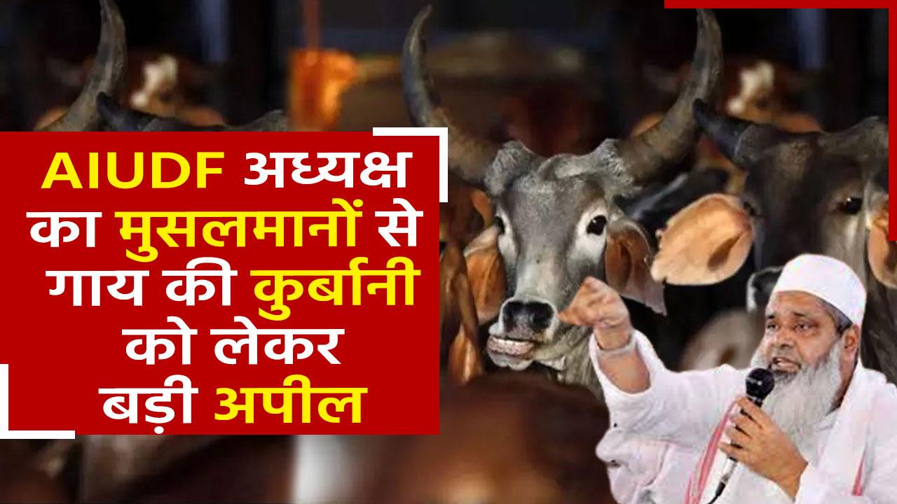 देशभर के मुसलमानों से AIUDF अध्यक्ष ने गाय की कुर्बानी से बचने की दी ...