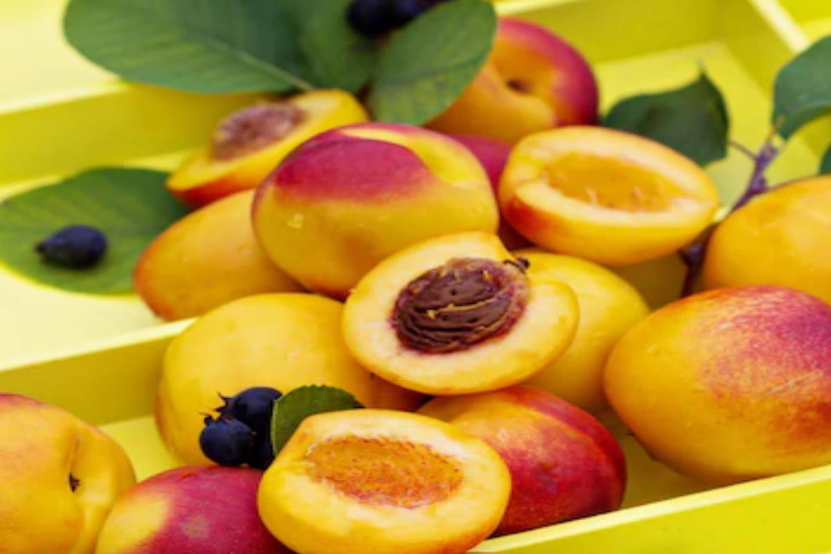 Aadu Or Peach Benefits: कई बीमारियों से बचाता है आडू, इसके फायदे ...