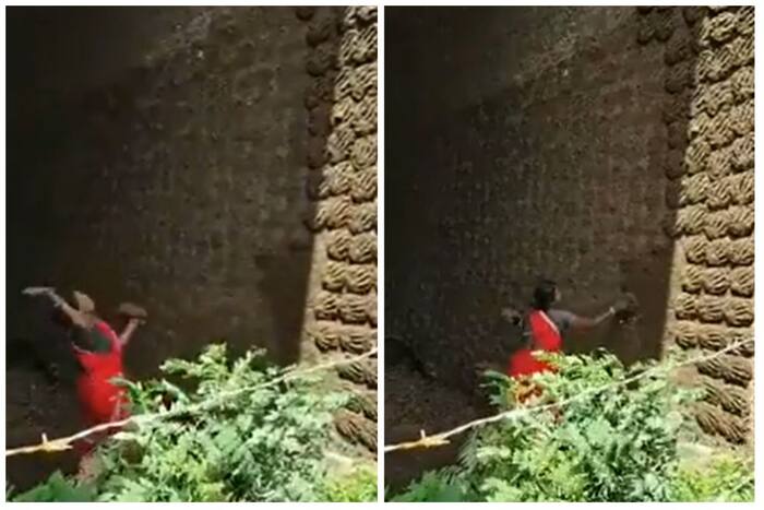 Viral Video: Woman Perfectly Sticks Cow Dung on Wall, People Call It ...