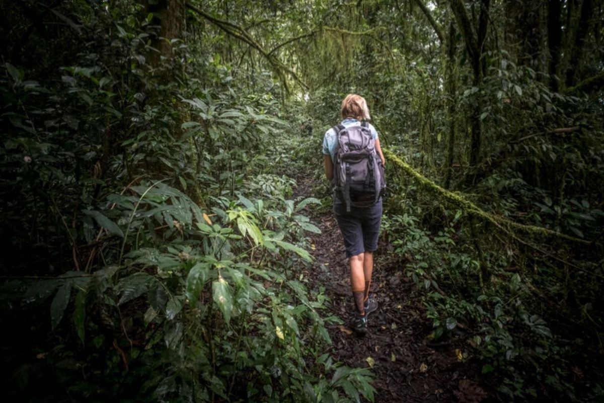 Why Goas Monsoon Trek Is A Better Choice Than Beaches This Season