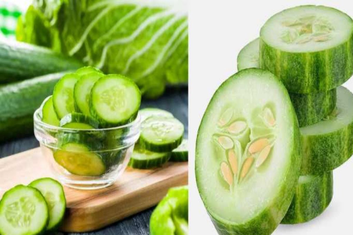 खीरा खाने के शौकीन हैं तो इन बातों का रखें ध्यान, वरना हो सकती हैं ये ...