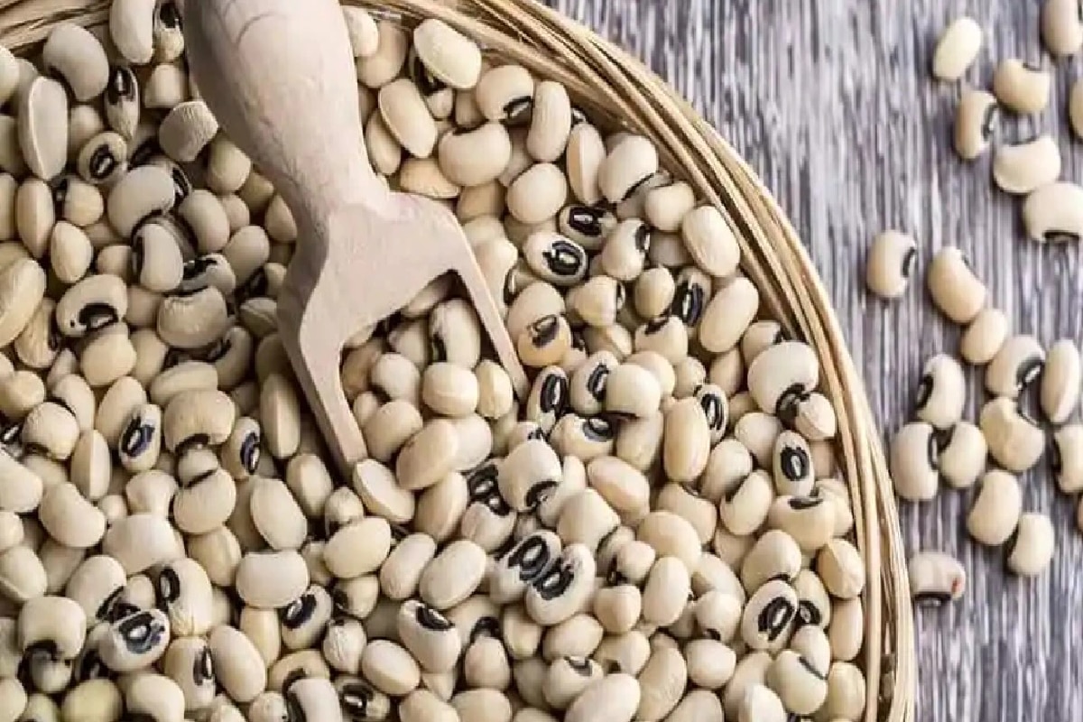 लोबिया की तासीर कैसी होती है? जानें लोबिया खाने के नुकसान