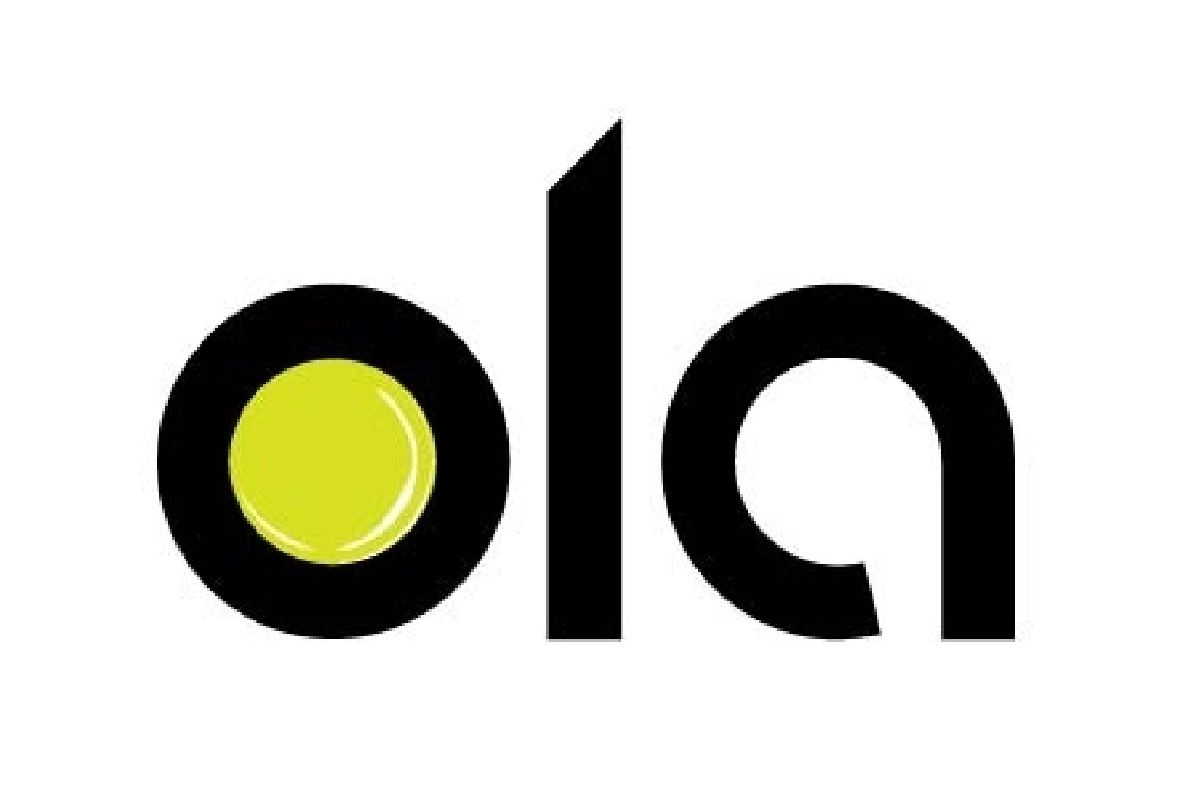 Is Ola Planning to Launch Electric Car On Independence Day? CEO Bhavish ...