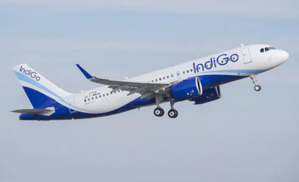 IndiGo Charges Cute Fee From a Passenger, Pic of Air Ticket Fare Goes ...